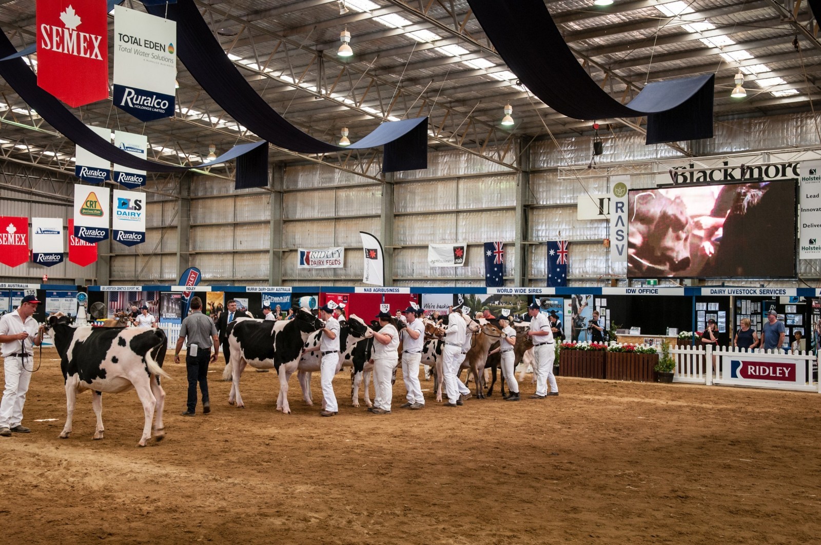 International Dairy Week 2024 - The Big Screen Company